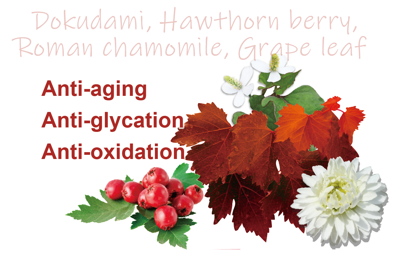 Products Information | Karada Lab