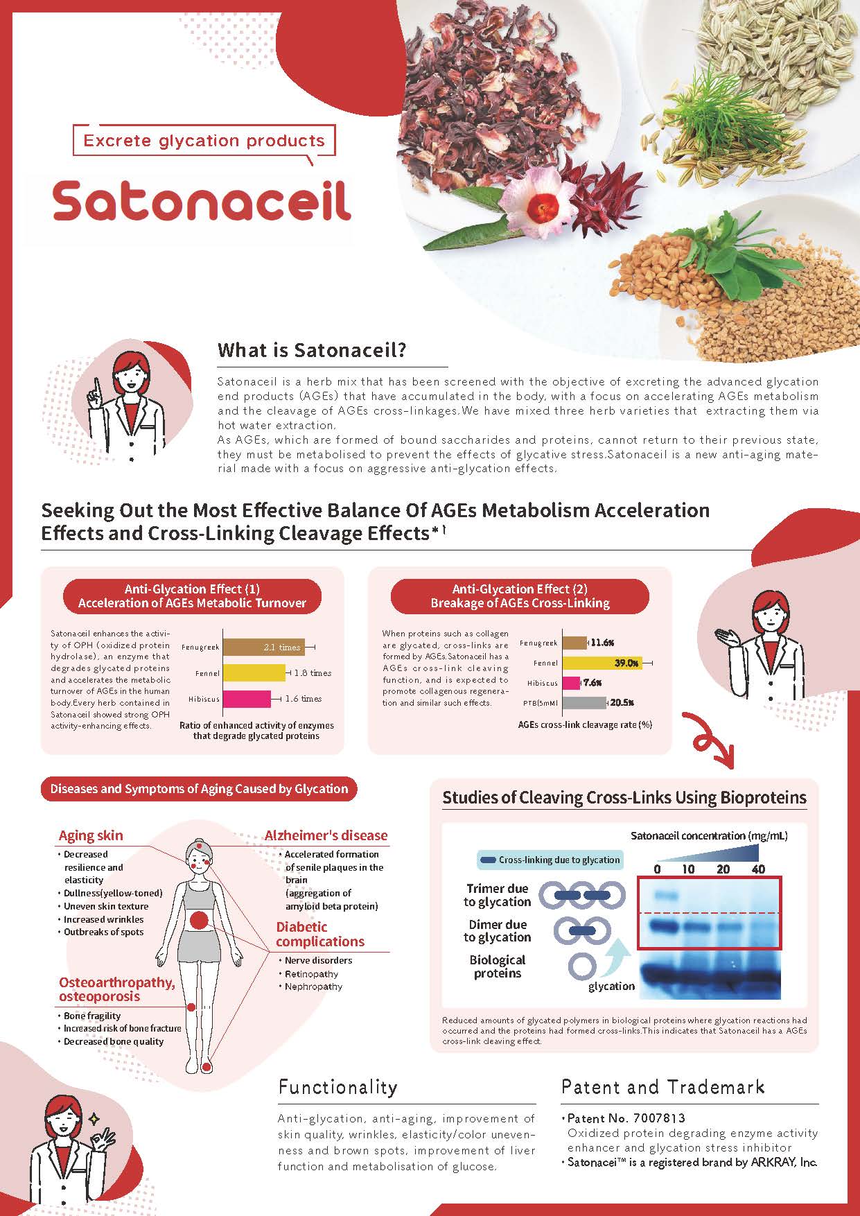 Karada Lab leaflets | Karada Lab